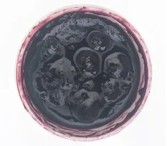 Keylink Products | Keylink Limited